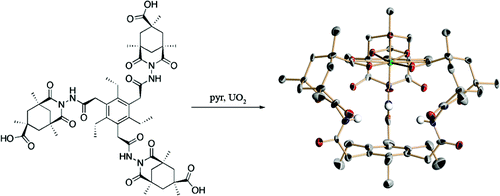 Selective Recognition and Extraction of the Uranyl Ion,Journal of the ...