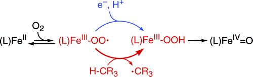 Dioxygen Activation by a Non-Heme Iron(II) Complex: Formation of an Iron(IV)−Oxo Complex via C−H ...