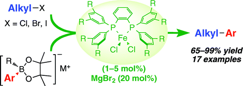 Iron-Catalyzed Suzuki−Miyaura Coupling of Alkyl Halides,Journal of the ...