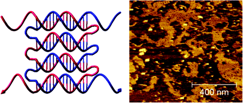 Weave Tile Architecture Construction Strategy for DNA Nanotechnology ...