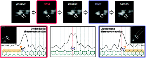 Molecular Seesaw: A Three-Way Motion and Motion-Induced Surface ...