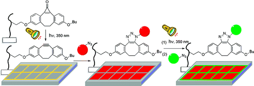 High Density Orthogonal Surface Immobilization via Photoactivated ...