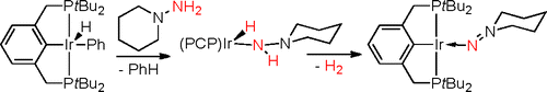 N−H Activation of Hydrazines by Iridium(I). Double N−H Activation To ...