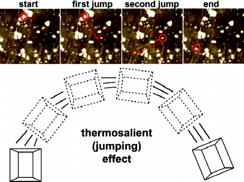The Thermosalient Phenomenon. “Jumping Crystals” and Crystal Chemistry ...