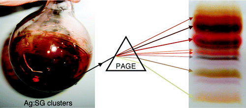 Glutathione-Stabilized Magic-Number Silver Cluster Compounds,Journal of ...