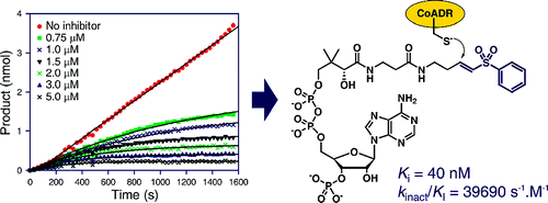 Michael Acceptor-Containing Coenzyme A Analogues As Inhibitors of the ...