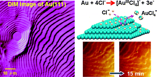 A New in Situ Optical Microscope with Single Atomic Layer Resolution ...