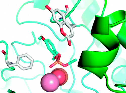 Improving a Natural Enzyme Activity through Incorporation of Unnatural ...