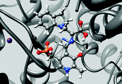 X-ray and NMR Crystallography in an Enzyme Active Site: The Indoline ...