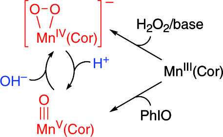 Mn(IV)-Peroxo 和 Mn(V)-Oxo Corroles 之间的可逆 O-O 键断裂和形成,Journal of the ...