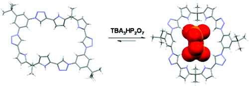 A Pyrrolyl-Based Triazolophane: A Macrocyclic Receptor With CH and NH Donor Groups That Exhibits ...