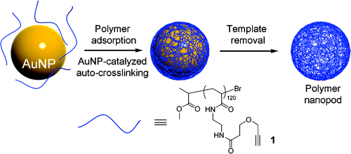 Nanopod Formation through Gold Nanoparticle Templated and Catalyzed ...