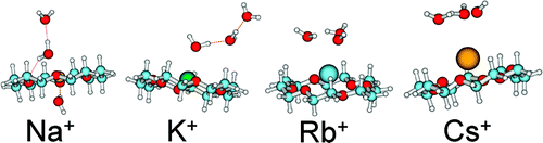 探索氩标记的水合碱金属离子-冠醚系统中的离子载体选择性,Journal of the American Chemical Society ...