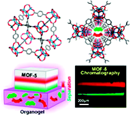 单金属有机骨架 (MOF) 晶体中的色谱,Journal of the American Chemical Society - X-MOL