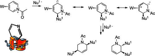 Polarization of the Pyridine Ring: Highly Functionalized Piperidines ...