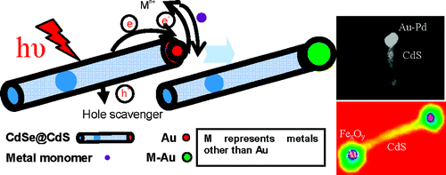 Light-Induced Selective Deposition of Metals on Gold-Tipped CdSe-Seeded ...