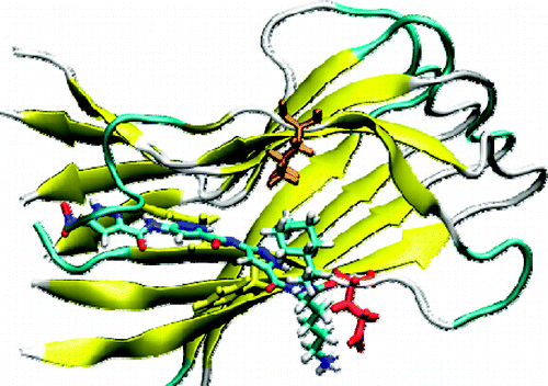 Rational Design of β-Sheet Ligands Against Aβ42-Induced Toxicity ...