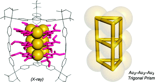 [m×n] Metal Ion Arrays Templated by Coordination Cages,Journal of the American Chemical Society ...