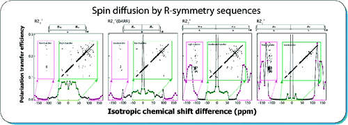 Spin Diffusion Driven by R-Symmetry Sequences: Applications to ...