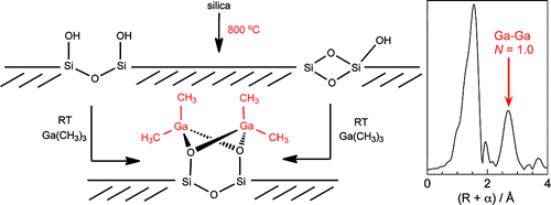 Evidence for the Pairwise Disposition of Grafting Sites on Highly ...