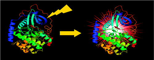 Construction of a Photoactivatable Profluorescent Enzyme Via ...