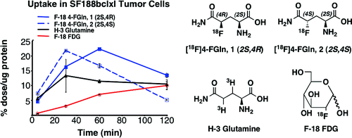 Synthesis of Optically Pure 4-Fluoro-Glutamines as Potential Metabolic ...