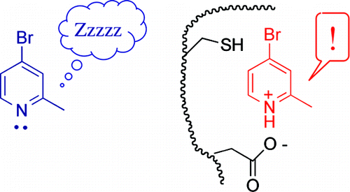 Discovery of Halopyridines as Quiescent Affinity Labels: Inactivation ...