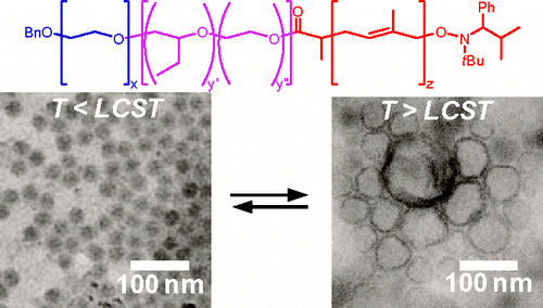 Thermally Induced Changes in Amphiphilicity Drive Reversible ...