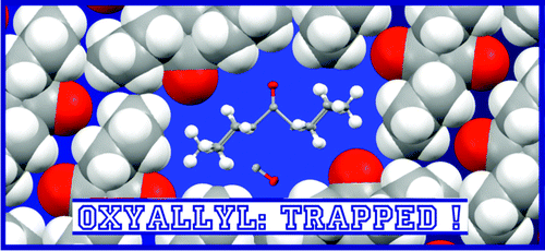 Oxyallyl Exposed: An Open-Shell Singlet with Picosecond Lifetimes in ...