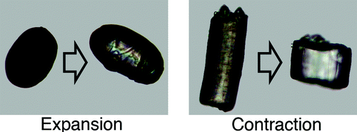 Microfluidic Synthesis of Highly Shape-Anisotropic Particles from ...