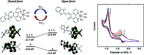 Determining the Magnitude and Direction of Photoinduced Ligand Field ...