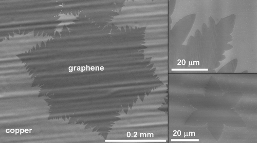 Large-Area Graphene Single Crystals Grown by Low-Pressure Chemical ...