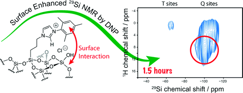 Fast Characterization of Functionalized Silica Materials by Silicon-29 ...