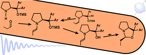 Formation and Stability of Prolinol and Prolinol Ether Enamines by NMR ...