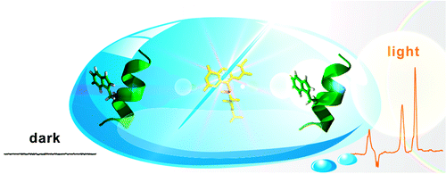 1H-Detected13C Photo-CIDNP as a Sensitivity Enhancement Tool in ...