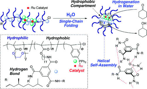 Single-Chain Folding of Polymers for Catalytic Systems in Water,Journal ...