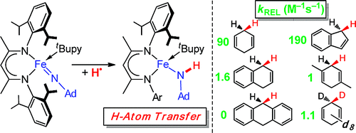 Selectivity and Mechanism of Hydrogen Atom Transfer by an Isolable ...