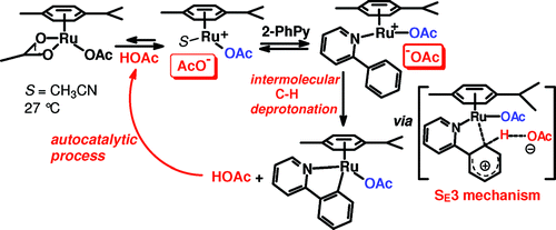 Autocatalysis for C–H Bond Activation by Ruthenium(II) Complexes in Catalytic Arylation of ...