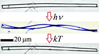 Reversible Photoinduced Twisting of Molecular Crystal Microribbons ...