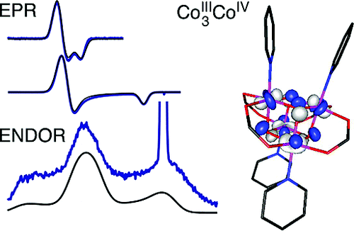 [Co(III)3Co(IV)O4]簇的电子结构描述：钴催化水氧化中顺磁性中间体的模型,Journal of the American ...