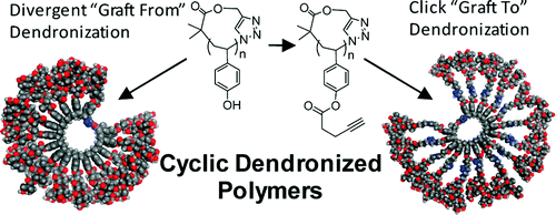 Synthesis of Cyclic Dendronized Polymers via Divergent “Graft-from” and ...