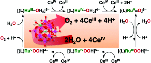 Catalytic Mechanism of Water Oxidation with Single-Site Ruthenium ...