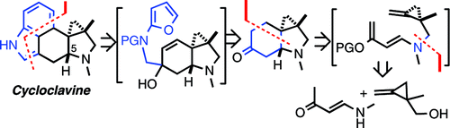 Total Synthesis of (±)-Cycloclavine and (±)-5-epi-Cycloclavine,Journal ...