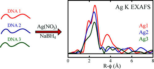 Ag K-Edge EXAFS Analysis of DNA-Templated Fluorescent Silver ...