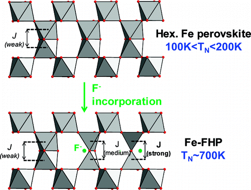 Unprecedented Robust Antiferromagnetism in Fluorinated Hexagonal ...