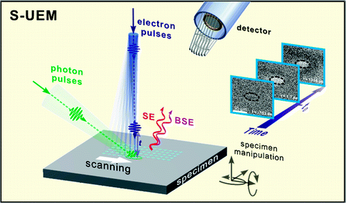 4D Scanning Ultrafast Electron Microscopy: Visualization of Materials ...