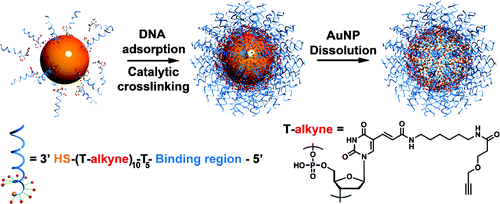 Polyvalent Nucleic Acid Nanostructures,Journal of the American Chemical ...