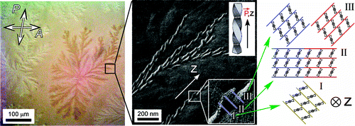 Chirality-Preserving Growth of Helical Filaments in the B4 Phase of ...