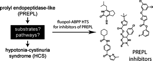 用于发现选择性 PREPL 抑制剂的无底物基于活性的蛋白质分析筛选,Journal of the American Chemical ...