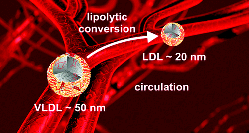 Softness of Atherogenic Lipoproteins: A Comparison of Very Low Density ...